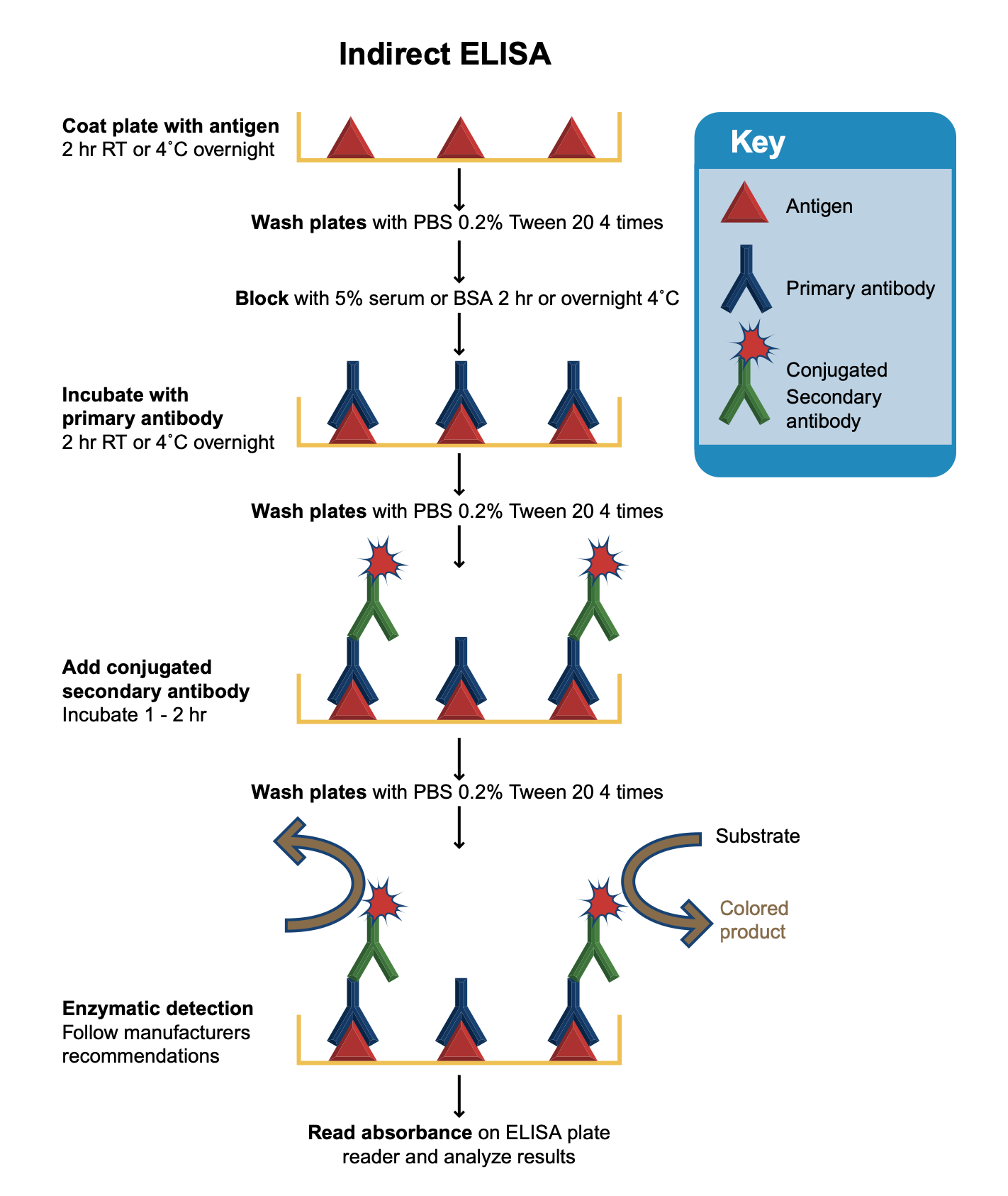 Immunoassays. Classification and applications – María Isabel Pividori